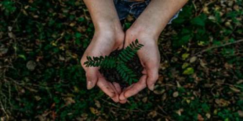 7 Ways To Help The Environment From Home